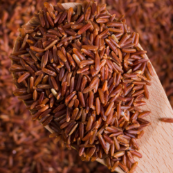 Types of Rice in India | Popular Indian Rice Varieties